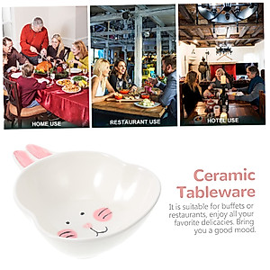 ORFOFE Animal Bowl Plate Ceramic Dinner Plates Ceramic Dishes 1pc Flavor Dish Ceramic Cereal Bowls Salad Serving Plate Ceramic Craft Bowl Tableware Cartoon Animal Bowl Snack Bowl 3d