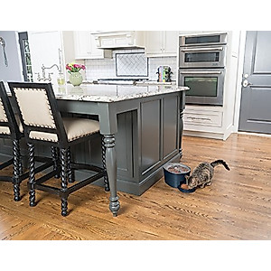 PetSafe 6 Meal Programmable Pet Food Dispenser, Automatic Dog and Cat Feeder - Dry Kibble or Semi-Moist Pet Food, Slow Feed Portion Control (6 Cup/48 Ounce Capacity), Tamper-Resistant, Sleep Mode Blue