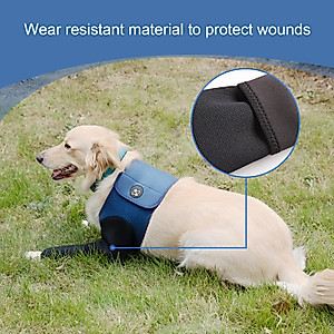Dog Recovery Suit, Cone Collar Alternative, Abrasion Resistant Dog Recovery Sleeve, Washable 2.5mm Thick and Waterproof, Pet Wounds Prevent Licking, Bite, Keep Dry (XL)