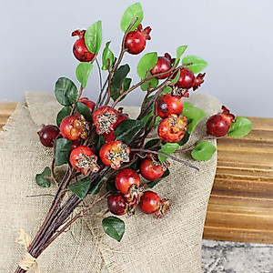 Group of 5 Artificial Rosehip Berries Simulation Pomegranate Fruit Floral Accessories (Red)