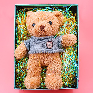 Zwish 1LB Sparkly Iridescent Film PP Hamper Shreds & Strands Shredded Crinkle Confetti for Gift Wrapping & Basket Filling & Gift Box filler