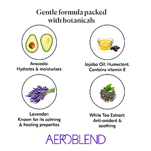 Aeroblend Airbrush Makeup Mini Sets (Light/Med)