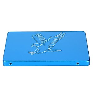 Garsentx Hsthe Sea SSD Automatic Recognition Intelligent Error Correction Blue Metal 2.5‑inch Hard Drive for Storing Data for OS X/Linux/Windows XP/Win/7/8/10 (8GB)