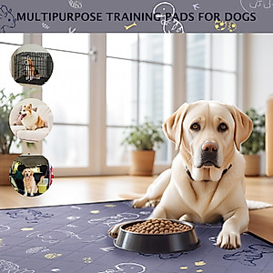 IEUUMLER Washable Pee Pads for Dogs, 2 Pack Non-Slip & Waterproof Pack Whelping Pad, Reusable Washable Puppy Potty Training Pad with Fast Absorbent for Playpen EU007 (Gray Dinosaur, 30"X20"-2pcs)