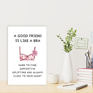 Missonemi Funny Best Friend Birthday Gifts Cards for Women, Bestie Definition Card,Happy Birthday Gift for BBF Sister, Great Friendship Card for Her -“A Good Friend Is Like A Bra”