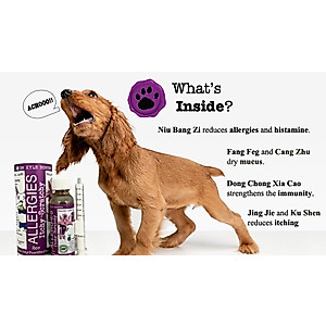 HEALTHY PAWS HERBAL LABS Itchy Scratchy Allergy Relief for Dogs & Cats - 2oz Liquid Food Topper