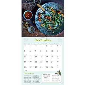 Rosemary Gladstar's Herbs Wall Calendar 2021