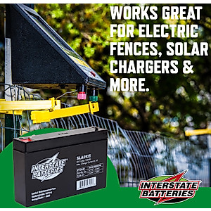 Interstate Batteries 6V 7Ah Battery (F1 Terminal) SLA AGM VRLA Rechargeable Replacement for Electric Fences, UPS Backup Systems, Solar, Medical Devices (SLA0925)