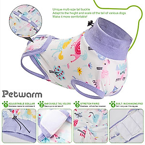 PetWarm Dog Surgical Recovery Suit – Post-Spay & Neuter, Weaning, Prevents Licking After Surgery Onesie for Male & Female – Pet Recovery Suit for Dogs – Professional Pet Recovery Shirt, XX-Large