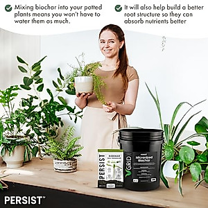 Persist Horticultural Charcoal 1.5 cuft, Biochar Soil Amendment for Plants, Improves Plant Soil for Plants, 100% Natural Active Carbon and Garden Plant Fertilizer Enhancer and Garden Soil