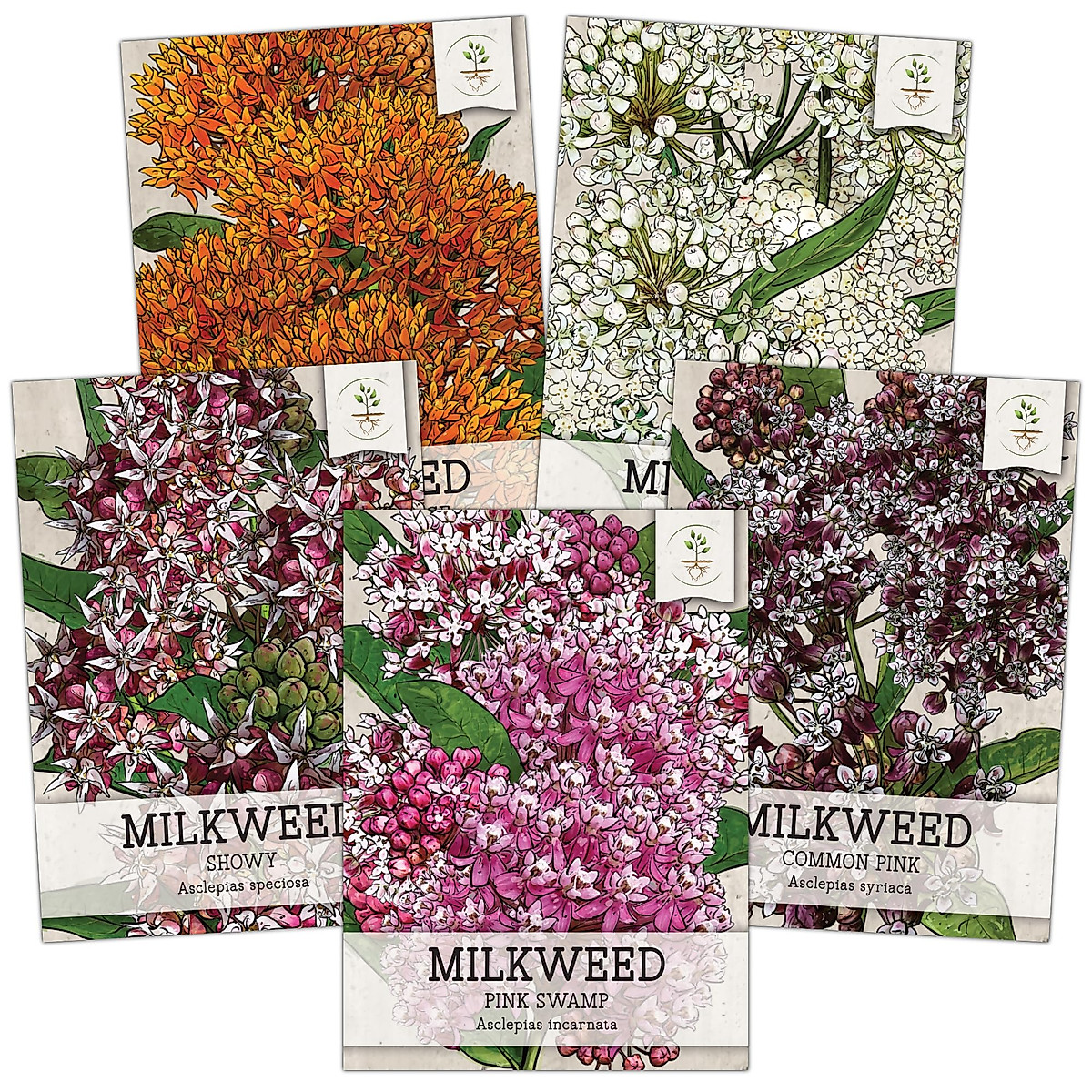 Seed Needs, Milkweed Seed Packet Collection to Attract Monarch Butterflies (5 Individual Seed Varieties to Plant) Heirloom & Untreated Seeds