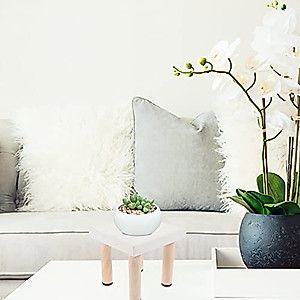 Yardwe 1pc Solid Wood Small Flower Stand Wooden Flower Shelf Garden Plant Pot Riser Succulent Planter Holder Cat Outdoor Planter Stand Bonsai Holder Heavy Office Small Plant Stand White
