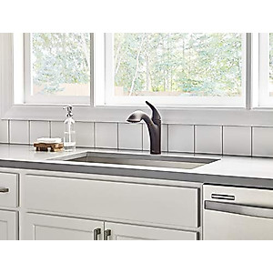 DANZE D455121BR Kitchen Faucet, Tumbled Bronze