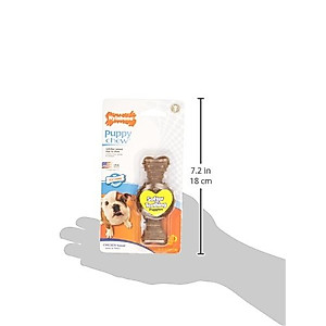 Nylabone Puppy Ring Bone Chew Toy - Puppy Chew Toys for Teething - Puppy Supplies - Chicken Flavor, Small/Petite (1 Count)