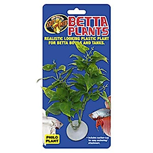 Zoo Med Laboratories AZMBP20 Betta Plant Philo
