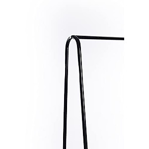 VEGAINDOOR United Style Single Shelf Clothes Rack, Metal Clothing Rack with Shelves, Clothing Racks for Hanging Clothes, Sturdy Organizer for Clothes ,Heavy Duty Garment Rack ,Gold ,Black ,White Colours (Black)