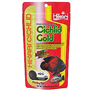 Hikari Cichlid Gold Floating Pellets Fish Food, Mini Pellets, 2 oz. (57g)