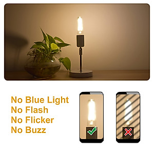 Dimmable 2W Tubular LED Bulbs, 2700K Warm White, Edison Style Filament Light Bulb, Vintage T10 Lamp Bulb 25 Watt Equivalent, E26 Medium Base 200LM,Clear Glass Cover,3Pack