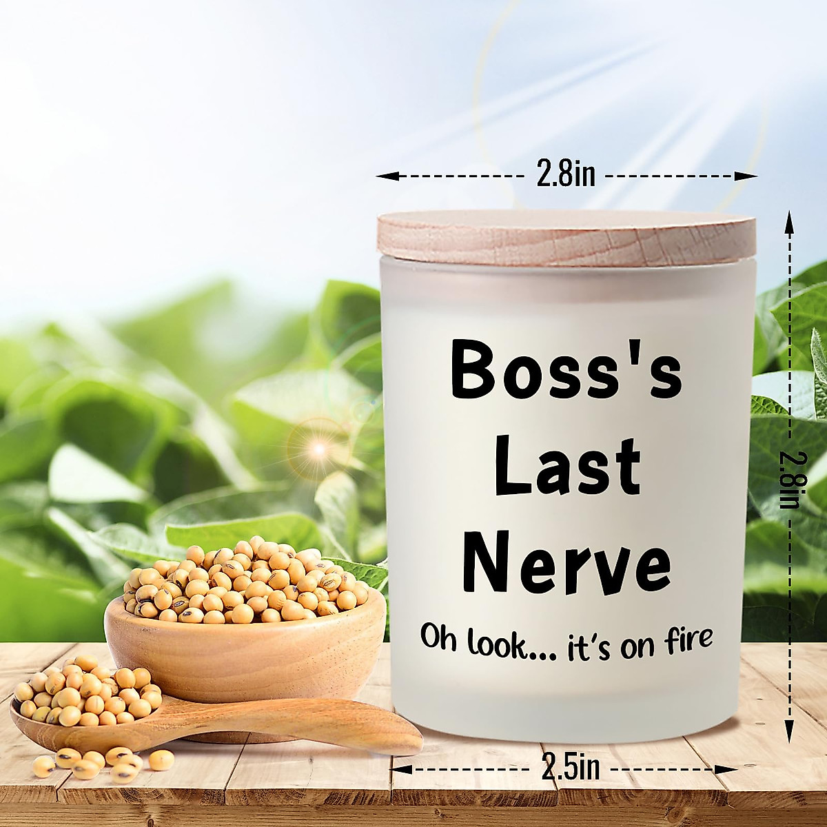 Boss Lady Gifts for Women Boss Gifts Funny Birthday Christmas Gifts for Boss, Gag Cool Office Christmas Gifts for Coworkers Thank You Appreciation Gifts for Boss Office Decor, Boss's Last Nerve Candle