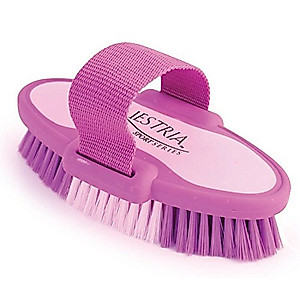 Desert Equestrian 2171-2 Equestria Oval Body Brush