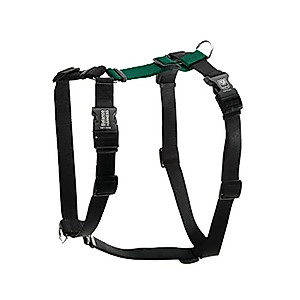 Blue-9 Buckle-Neck Balance Harness, Fully Customizable Fit No-Pull Harness, Ideal for Dog Training and Obedience, Made in The USA, Hunter Green, Medium