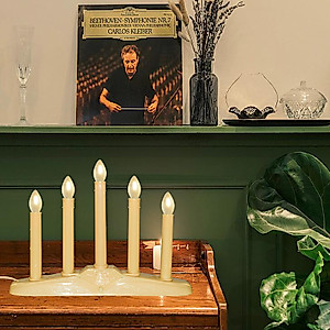 SUNSGNE C7 LED Christmas Night Light Bulbs, 0.6 Watt LED Frosted Replacement Bulbs fits E12 Candelabra Base Socket, Small Light Bulb for Indoor Outdoor Decor, Frosted White, 25 Pack