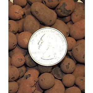 Leca Clay Orchid/Hydroponic Grow Media - 2 lbs.