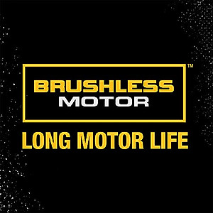 DEWALT 20V Max XR Impact Wrench Kit, Brushless, High Torque, Detent Pin Anvil, 1/2-Inch, Cordless (DCF899M1)