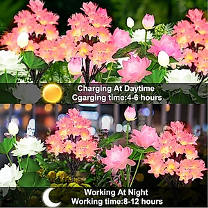 QINGYA 4pack Solar Flower Lights Outdoor Waterproof IP65,Solar Lotus &Peachblossom Garden Decorative Lights Led Flowers Decor Auto On/Off Bright Up to 12Hrs