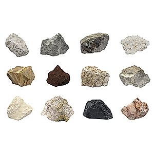 12 Piece Introduction to Sedimentary Rocks Kit - Includes 1" Specimens - Great for Geology Classrooms & Basic Field Testing Labs - Tech Cut Rocks by Eisco Labs