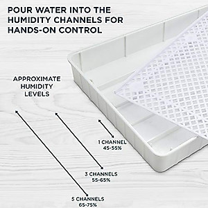 Jumbl Clear Egg Incubator, Fully Automatic Digital Poultry Hatching Machine, Temperature Control & Automatic Egg Turner, LED Candler, Mini 12-35 Egg Incubator Breeder for Chicken, Ducks & More