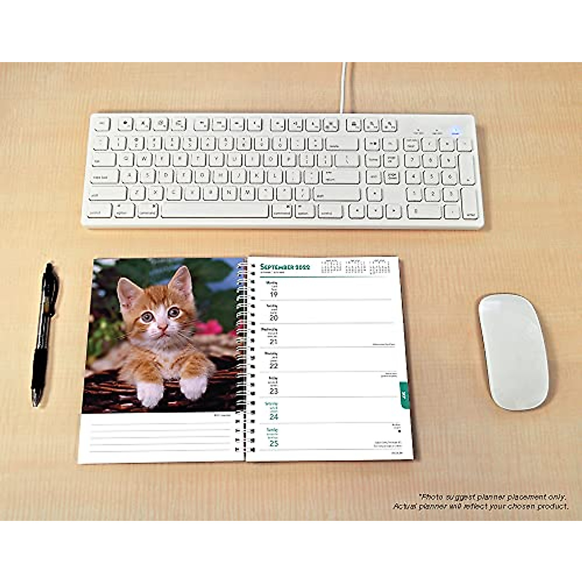 Kittens 2022 6 x 7.75 Inch Spiral-Bound Wire-O Weekly Engagement Planner Calendar | New Full-Color Image Every Week | Animals Cats Pets