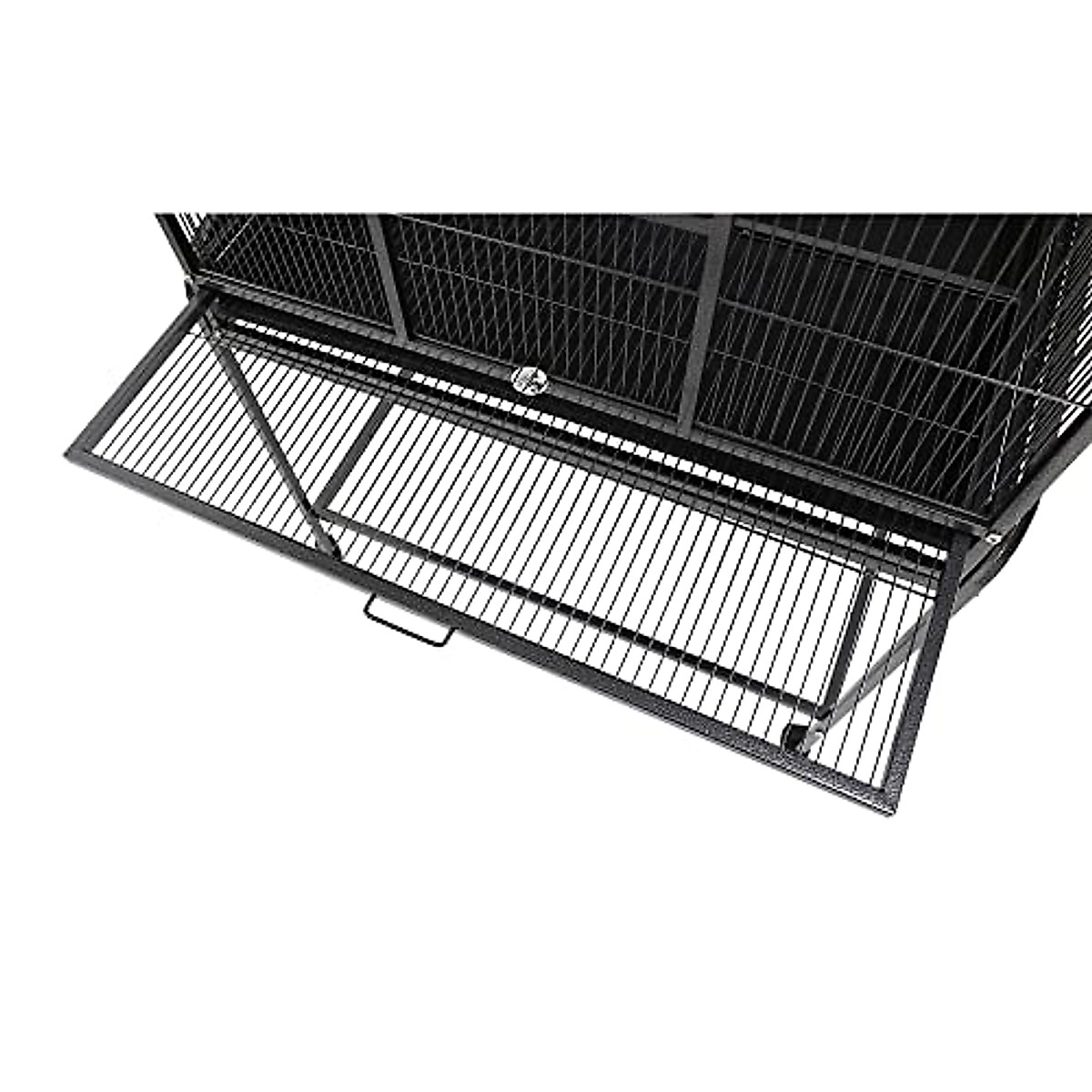 A&E Cage Company 52401493: Cage Flight Bk 31X20