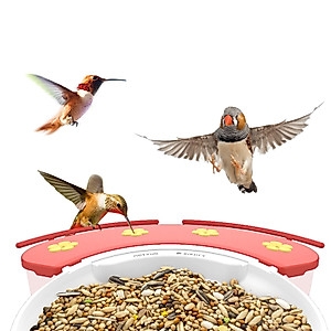 NETVUE Birdfy Hummee - Hummingbird Feeder Perch, Compatible with Birdfy, Attract Hummingbirds, 18.3 oz Capacity, 2 in 1 Bird Feeder, Ideal Gift for Hummingbird Lovers (A Feeder)