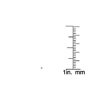 Gold Earrings for Women Men | 14K White Gold 2mm Polished Tiny Ball Bead Stud Earrings