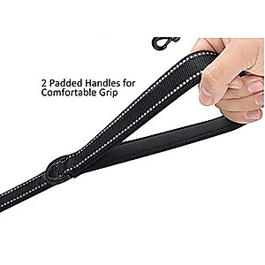 Heavy Duty Dog Leash - 2 Handles by Padded Traffic Handle for Extra Control, 6foot Long - Perfect for Medium to Large Dogs (6 ft, Black)