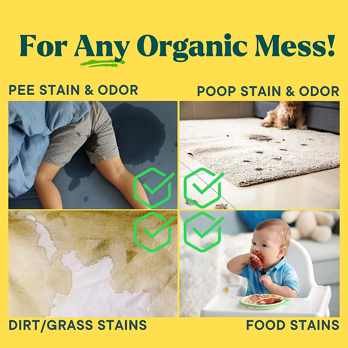 Good Life Solutions Natural Odor and Stain Remover Spray - Unscented Plant-Based Child and Pet Safe Cleaner Earth-Friendly Odor Eliminator Eco Cleaning Products for Home, Carpet, Upholstery 16 oz