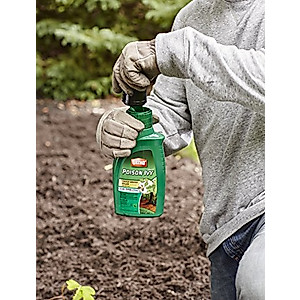 The Scotts Ortho Max Poison Ivy Tough Brush Killer, 32-Ounce
