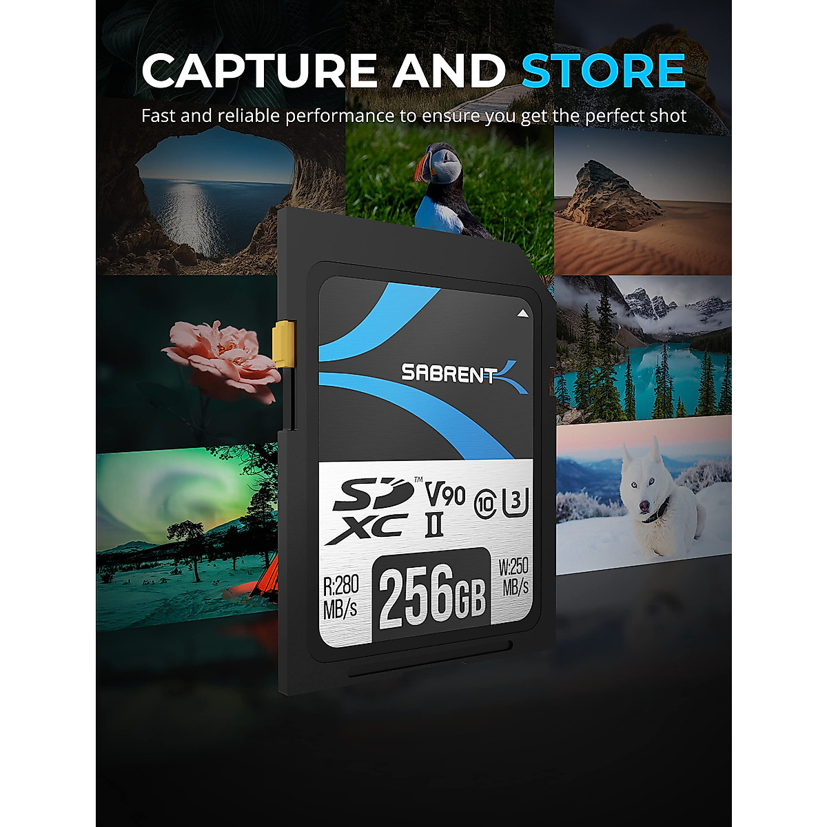 SABRENT Rocket v90 256GB SD UHS-II Memory Card R280MB/s W250MB/s (SD-TL90-256GB)