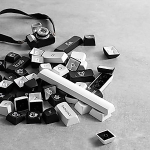 Akko Keycaps Set with MDA Profile Double-Shot Black on White Theme Keycap, Comes with 227 Keys with Standard MX Structure, Compatible with Major-Sizes Mechanical Keyboards