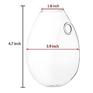 Fashiostorm 5 Packs Wall Hanging Planters Glass Plant Pots Water Containers Flower Air Terrariums Terrarium, Clear