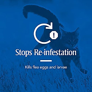 PetArmor Plus for Cats, Flea & Tick Prevention for Cats (Over 1.5 lb), Includes 6 Month Supply of Topical Flea Treatments, white, 6 count