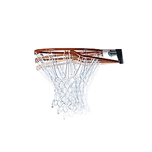 Lifetime In-Ground Basketball Hoop (52-Inch Polycarbonate) Adjustable