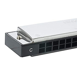 WAAZVXS Harmonica 24 Holes Key C Musical Instruments for Beginner (Color : Key C)