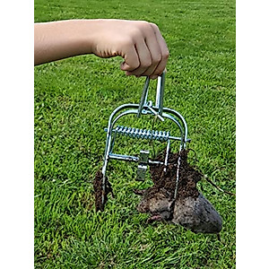 Mole Whacker Trap