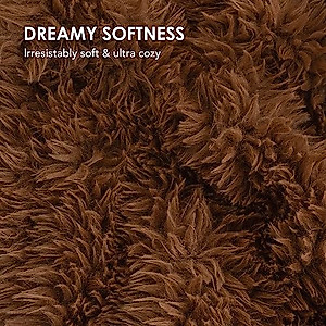EVERGRACE Luxury Fluffy Faux Fur Throw Blanket with Long Pile, Super Soft Plush Cozy Blanket and Throws for Bed, Thick Warm Fuzzy Caramel Brown Throw Blanket for Couch, Sofa, Chair, 50x60 inch
