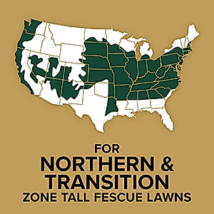Scotts EZ Seed Patch & Repair Tall Fescue Lawns - 10 lb., Combination Mulch, Seed, and Fertilizer Mix with Tackifier, Repairs Bare Spots, Covers up to 225 sq. ft.