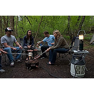 Camp Chef Compact Fire Ring Portable Propane Gas Fire Pit with Carry Kit, 15-Inch Diameter, 55,000 BTU