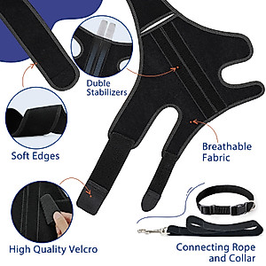 Dog Knee Brace Adjustable for Torn ACL and Hip Dysplasia - Supports Large and Small Dogs with CCL, Ligament Injuries, Osteoarthritis Relief, Enhances Mobility and Recovery (Large)