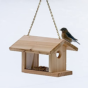 C&S Wild Bird Bluebird Suet Nuggets Mega Box, 8 Pounds